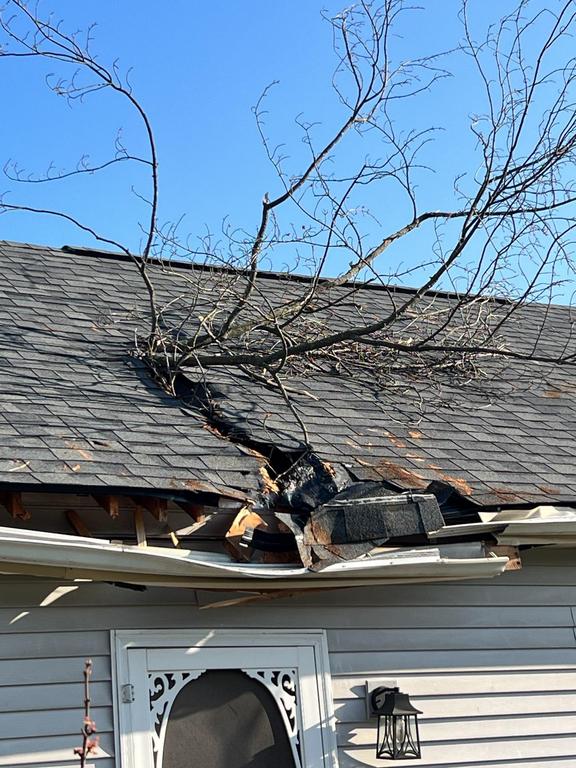 Don't Be Stumped With A Claim: Tree Damaged Roof Replaced In New Albany ...